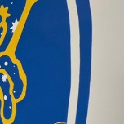 Community Involvement – Solar Proponent